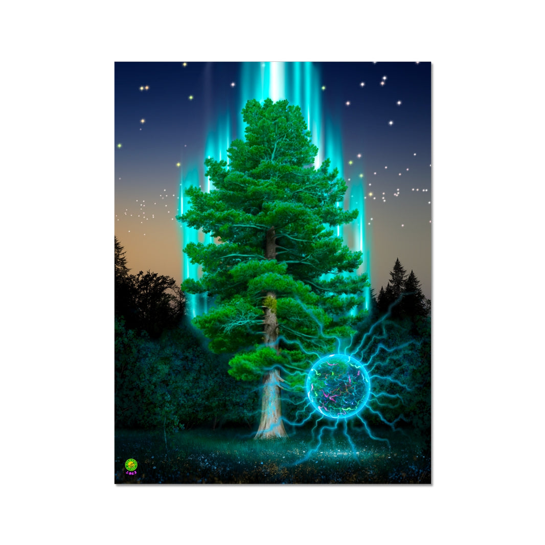 Buy the "Ringing Cedars of Russia" Books in English by Vladimir Megre ...