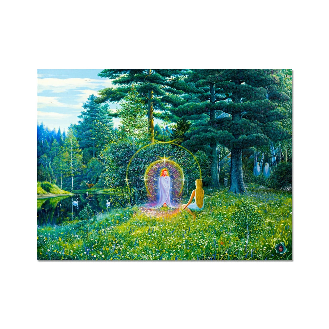 Buy the "Ringing Cedars of Russia" Books in English by Vladimir Megre ...